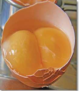 Causes of egg defects and how to cure them