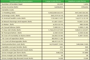 Layers vs Broilers: This is where you will make more money