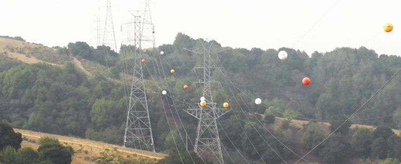 Why bright-colored balls are fixed on electricity lines