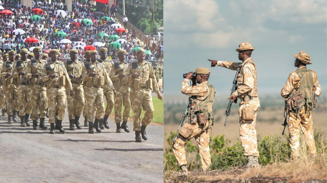 KWS cadet & rangers requirements, application process, salaries