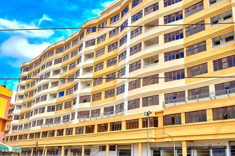 Victor Maina: Mathai Supermarket, Wholesale Mall founder who started as ...