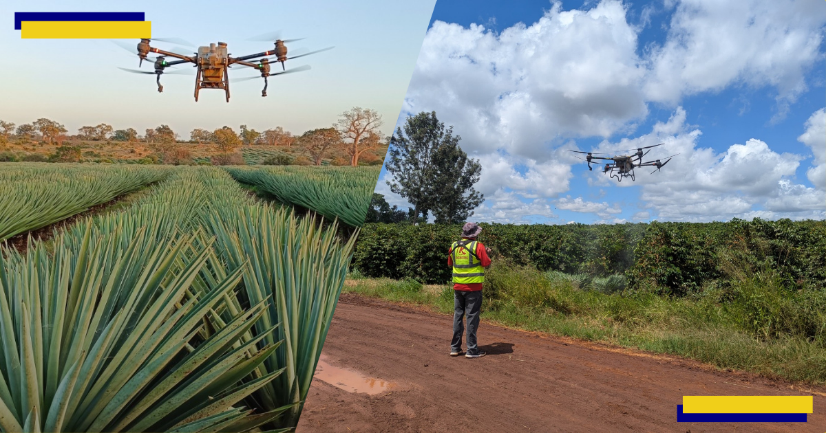 How Kenyan farmers are using drones to save costs, get higher yields