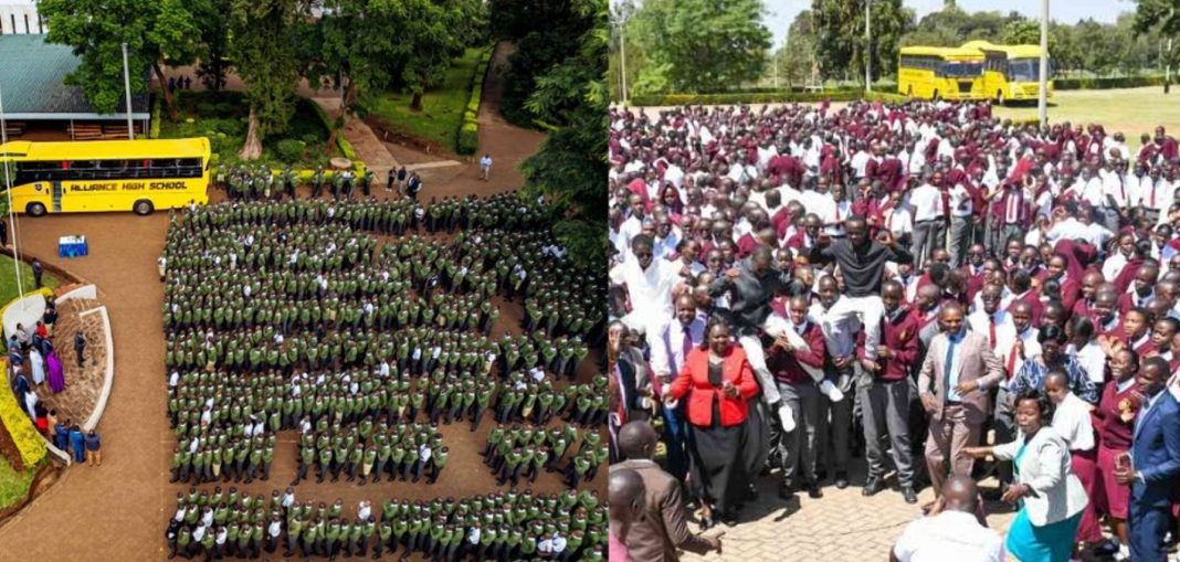 Alliance High vs Moi Kabarak performance in 2025 KCSE exams